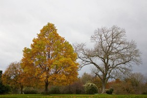 Sternzeichen Oktober: Wie ist der Waage-Charakter?